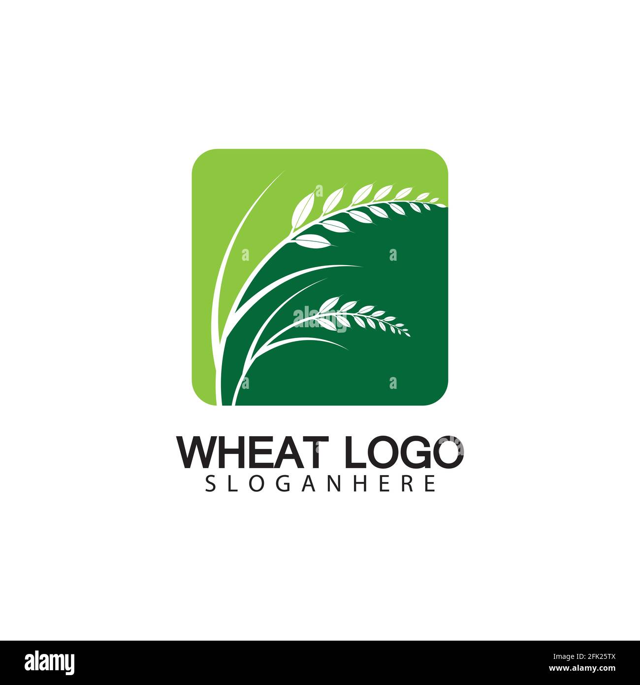 Agriculture Wheat logo template vector icon design Stock Vector Image ...