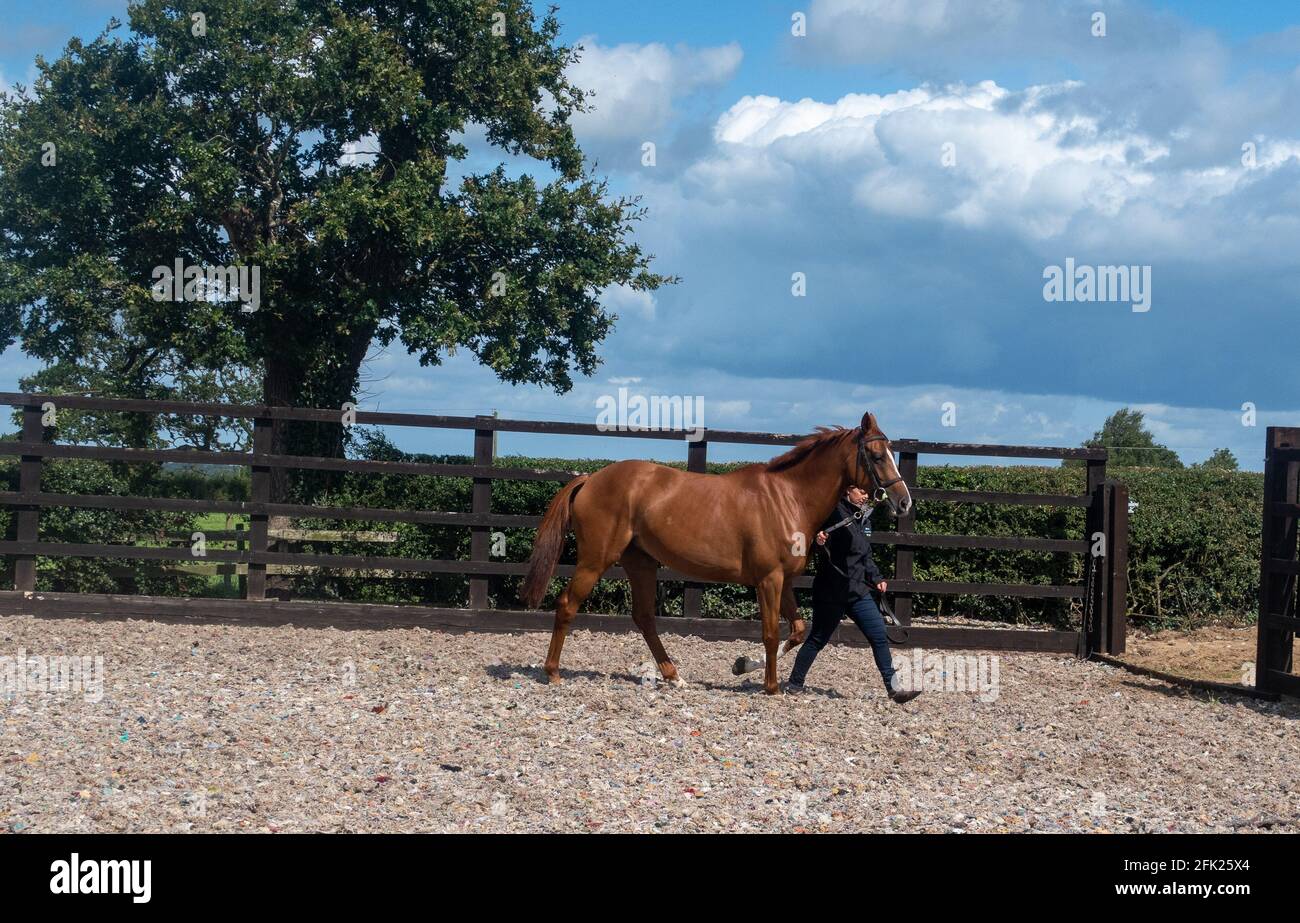 Sam allwood hi-res stock photography and images - Alamy