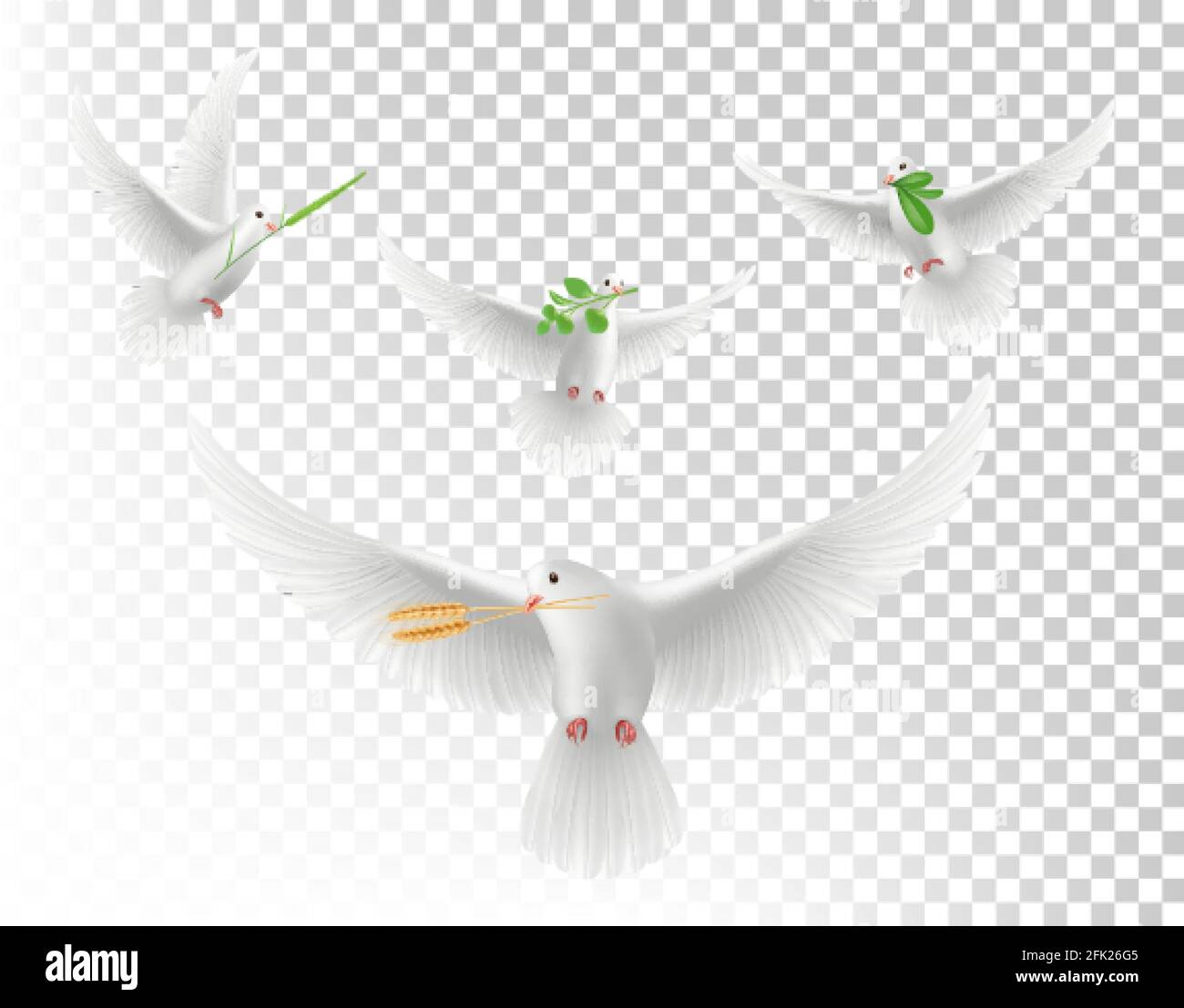 Realistic pigeons with branches. White flying doves isolated vector set ...