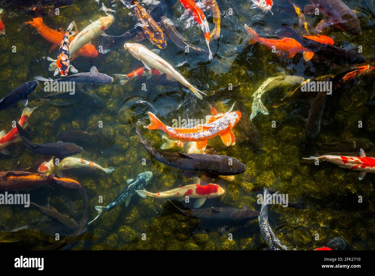 Kenroku en garden kanazawa japan tranquil hi-res stock photography and ...