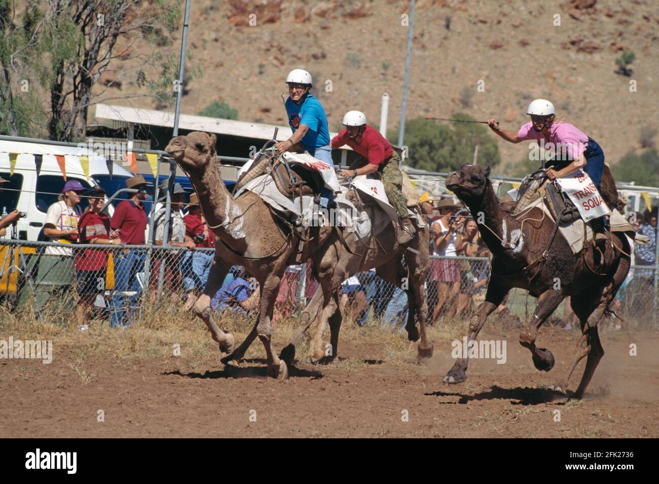 Camel race hi-res stock photography and images - Alamy