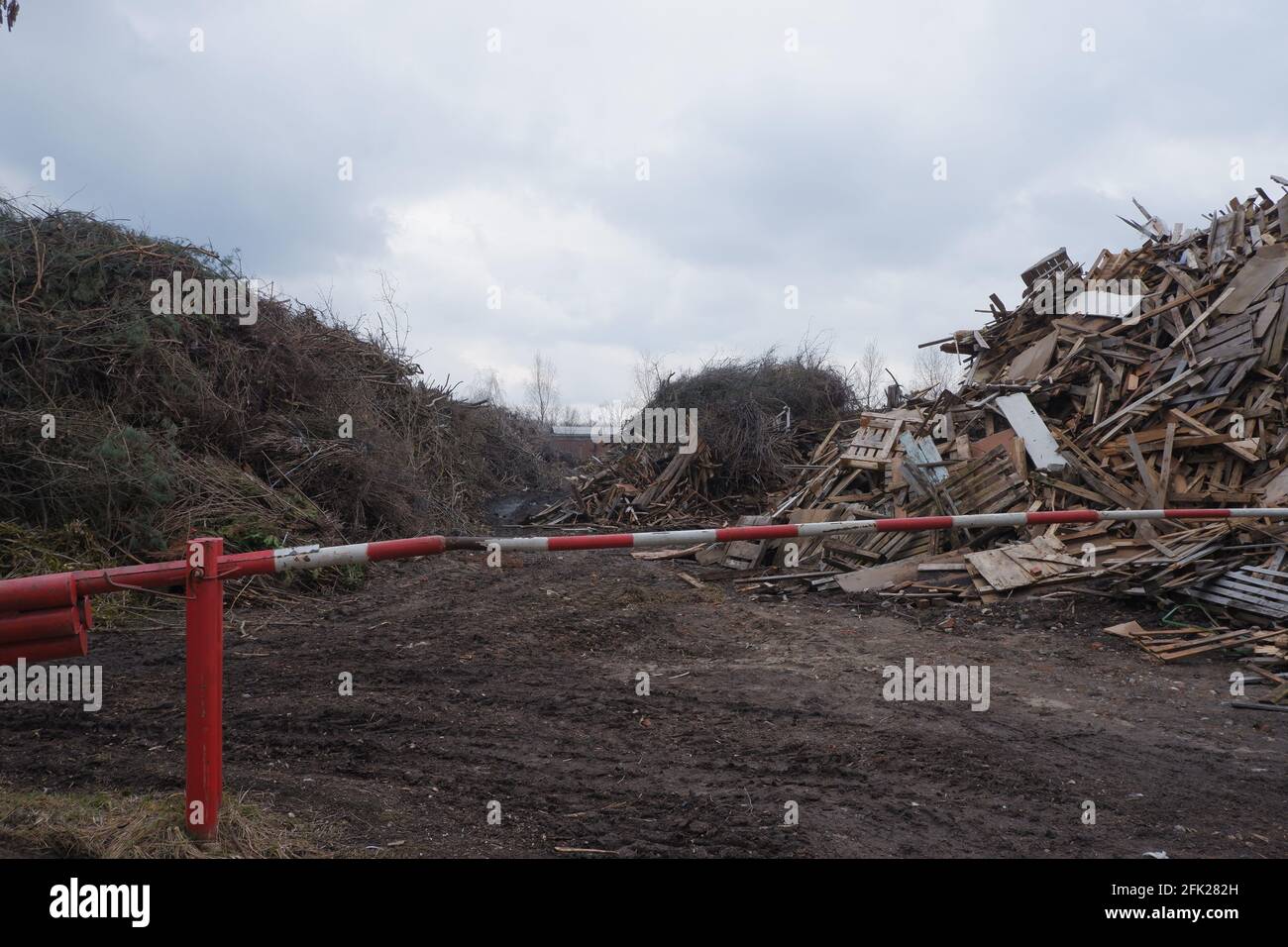 Woodworking waste dump. Environmental safety concept Stock Photo - Alamy