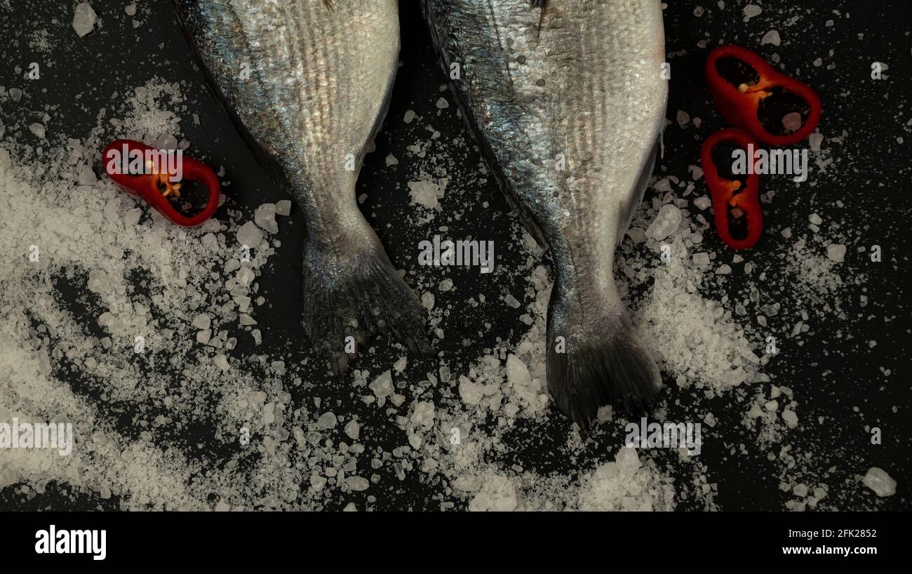 Two fins of raw sea bream fish in a black plate on black background ...