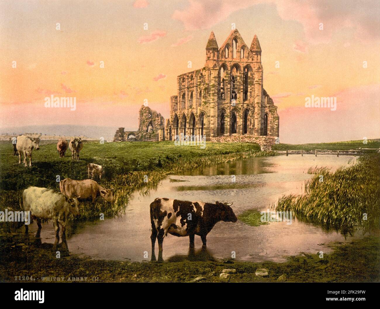 Whitby Abbey, Whitby in Yorkshire circa 1890-1900 Stock Photo - Alamy
