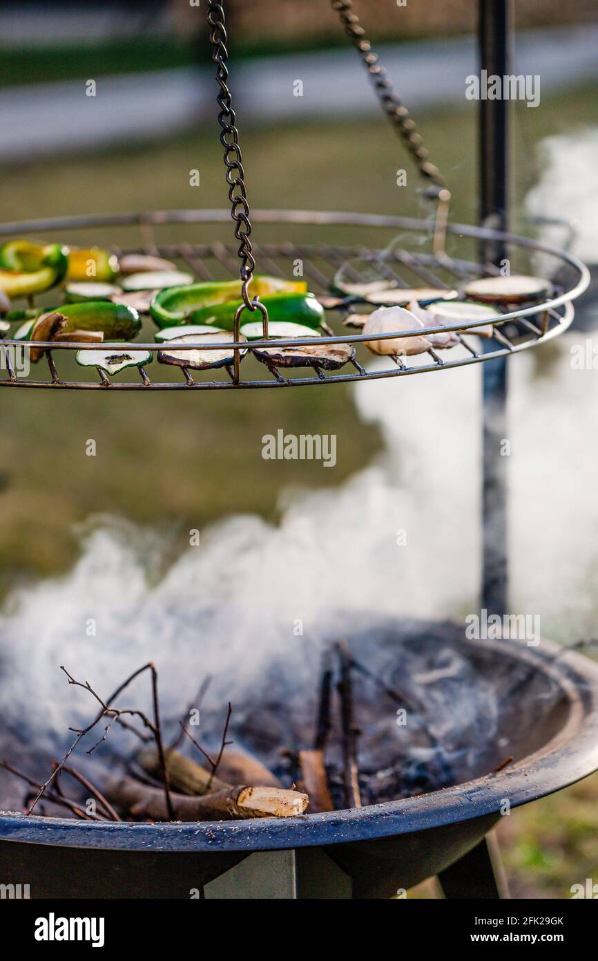 Fireplace with branches of a tree and white smoke, iron barbecue grill ...