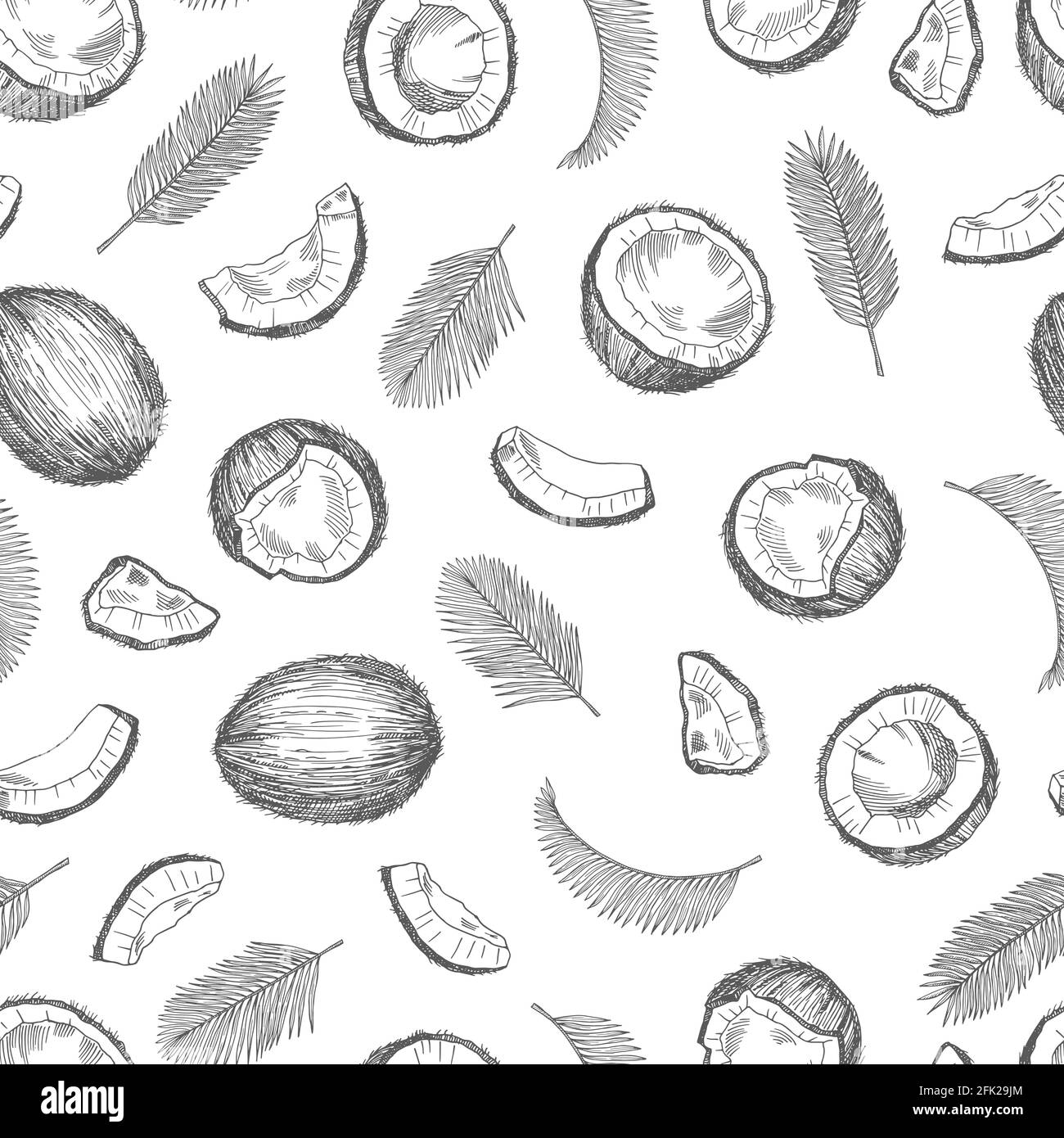 Sketch coconut pattern. Exotic food seamless texture. Palm leaves ...