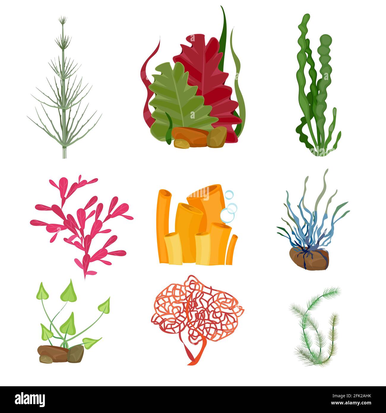 Underwater Plant Cartoon