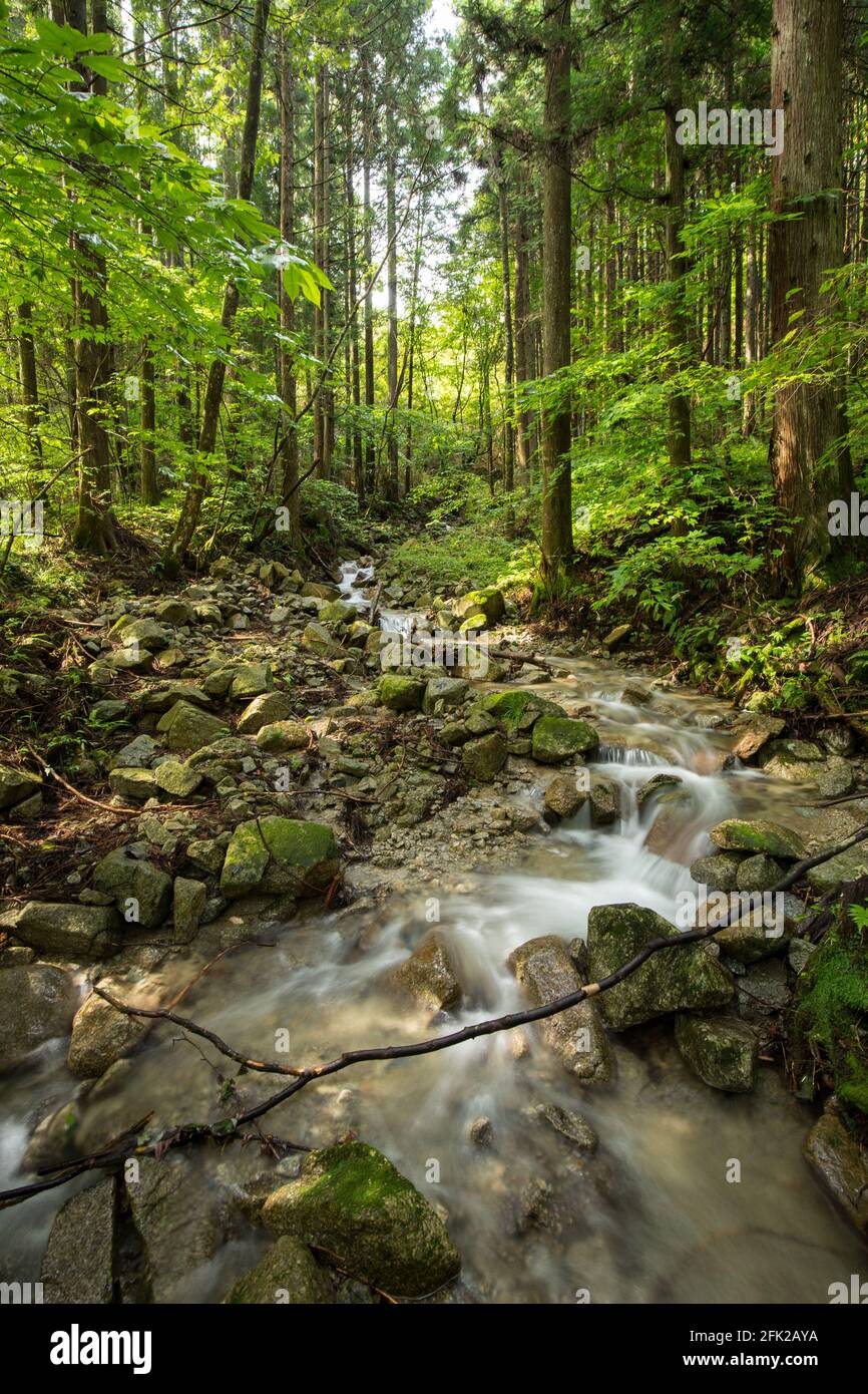 Nakasendo trail japan hi-res stock photography and images - Alamy