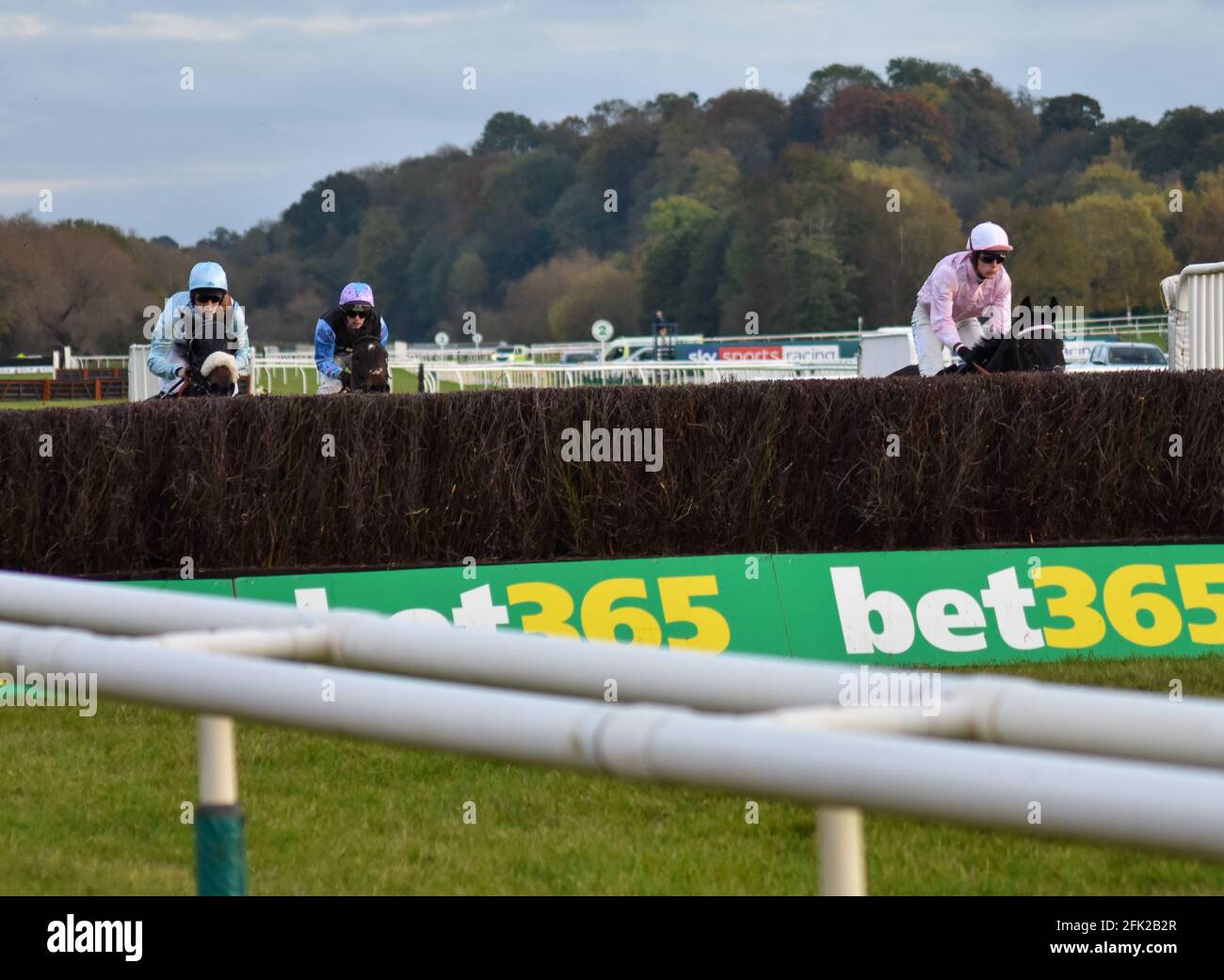 Cheltenham races winter hi-res stock photography and images - Alamy