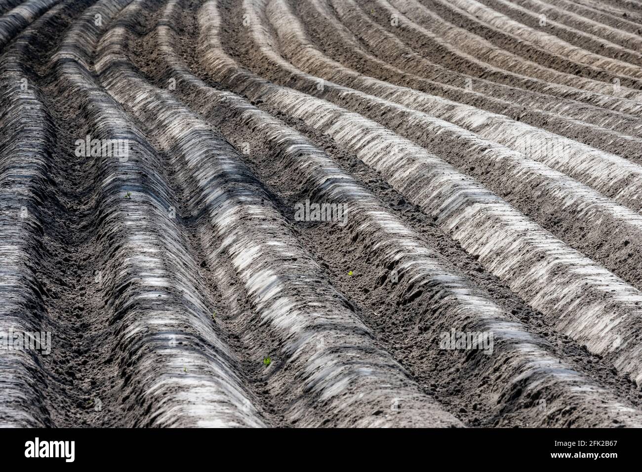 Undulating ground hi-res stock photography and images - Alamy