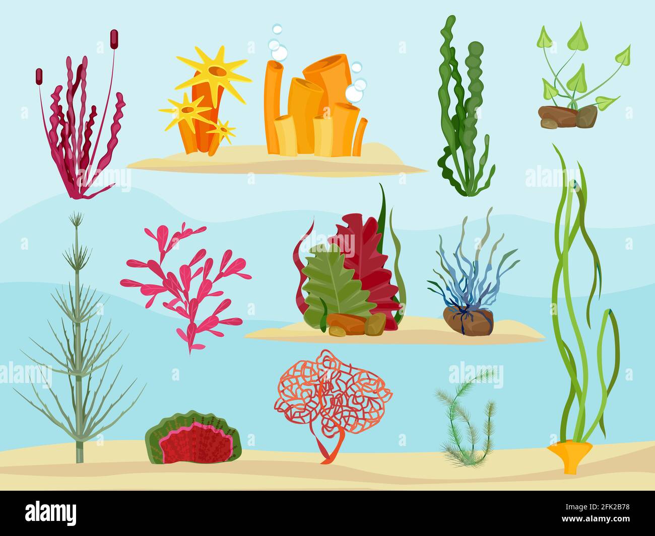 Seaweed underwater. Wildlife marine botanical plants in ocean or sea ...