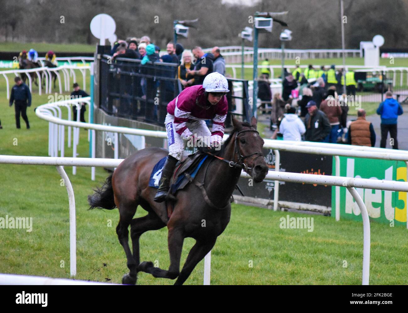 Uttoxeter Races, National Hunt Racing meeting, Winter Ladies Day Stock ...