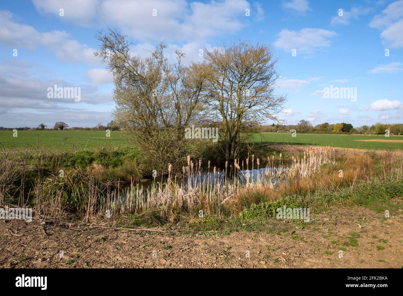 Suffolk farm hi-res stock photography and images - Alamy