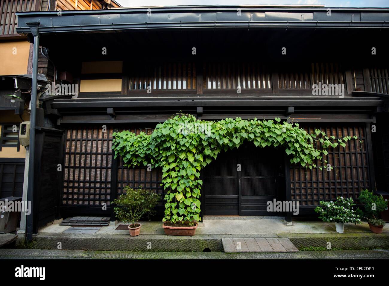 Traditional Japanese building architecture with green plant in ...