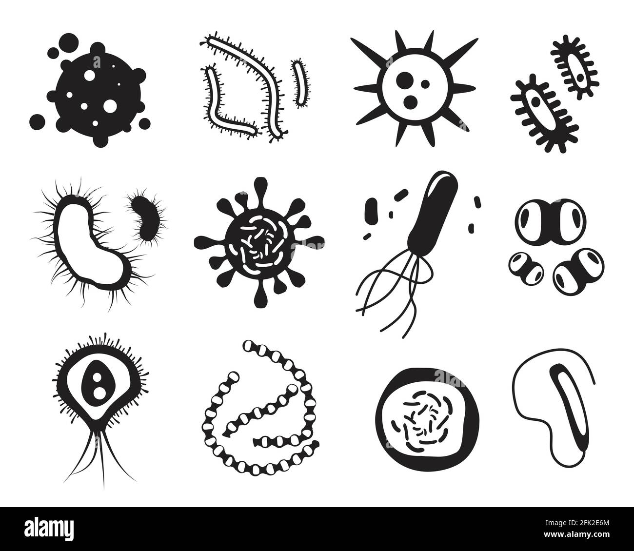 Biology Clipart Black And White