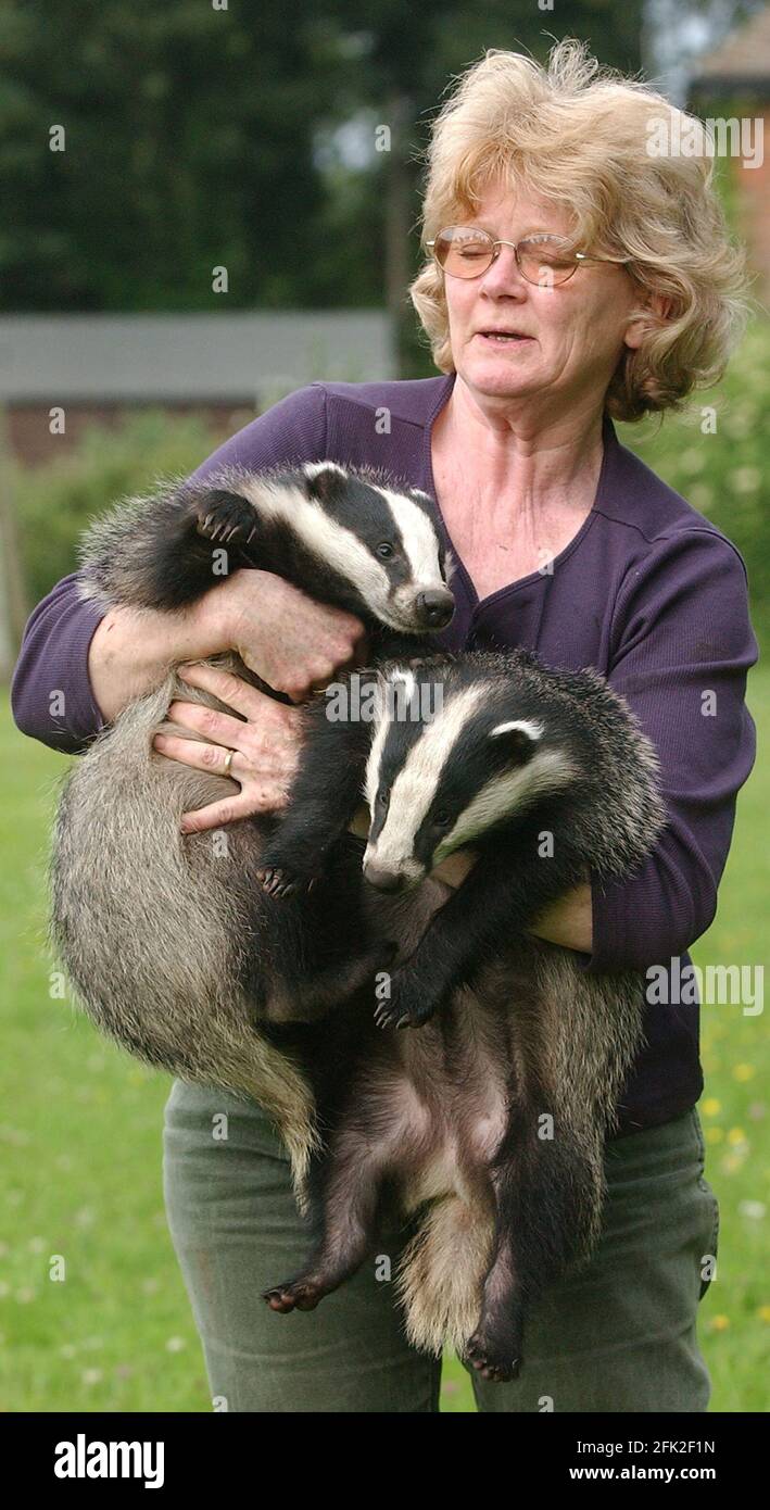 Julia walker hi-res stock photography and images - Alamy