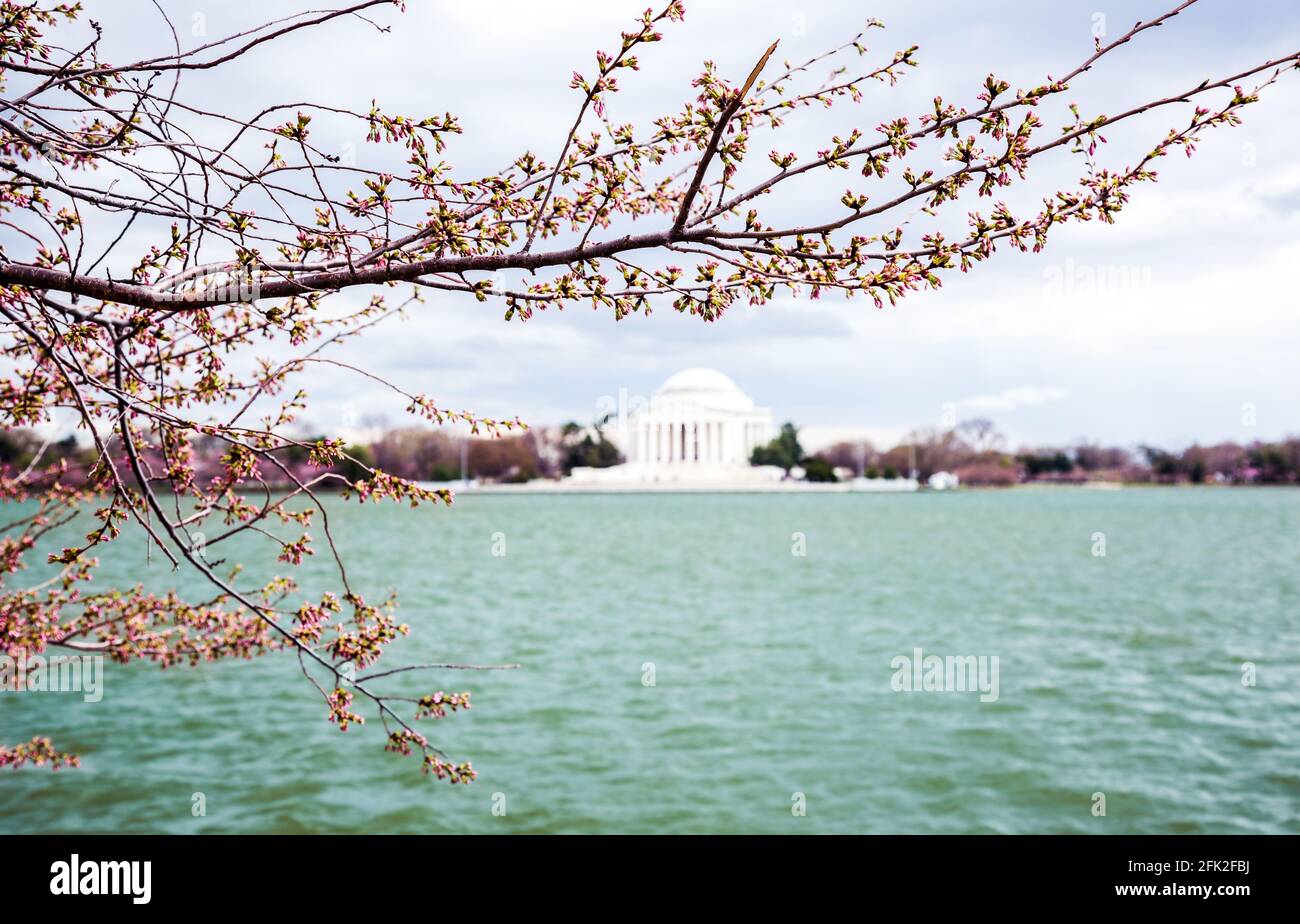 Washington dc spring attractions hi-res stock photography and images ...