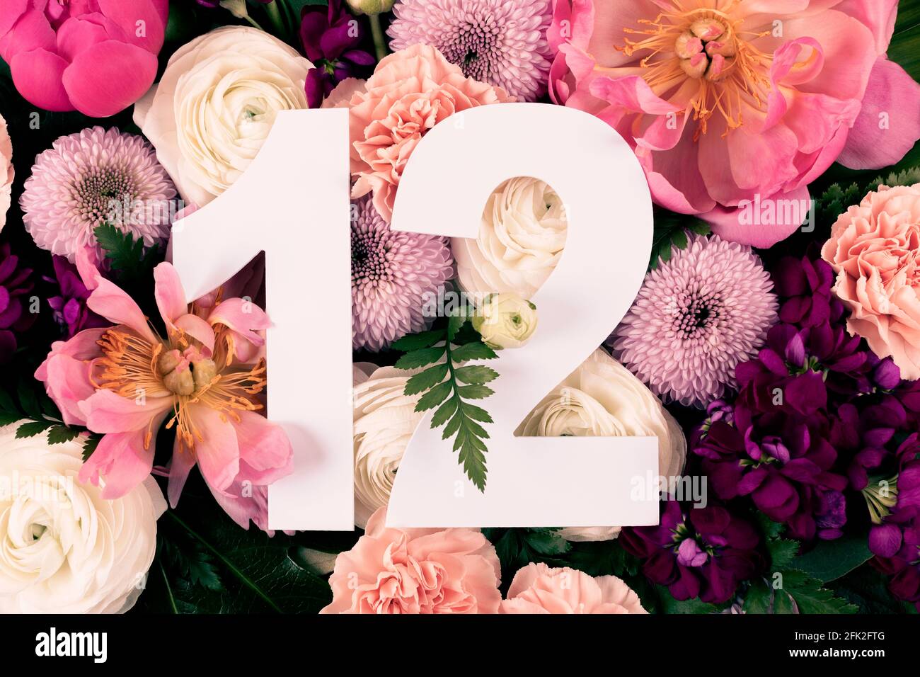 Layout with colorful flowers, leaves and number twelve. Chrysanthemum ...