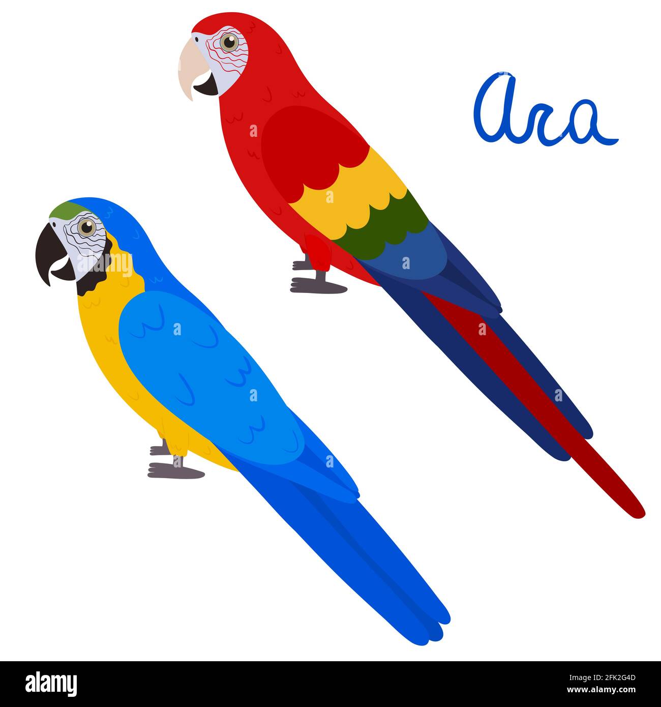 Cockatiel cartoon hi-res stock photography and images - Alamy