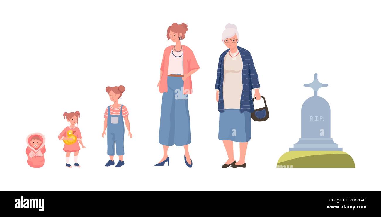 Cycle of woman life vector flat illustration isolated on white ...