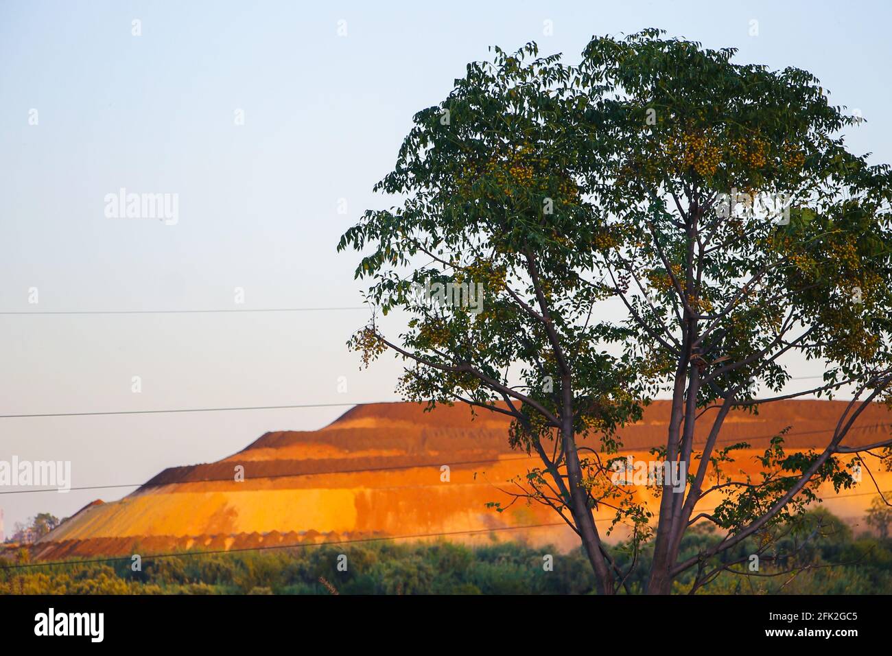 Landscape with trees and a lac Stock Photo - Alamy