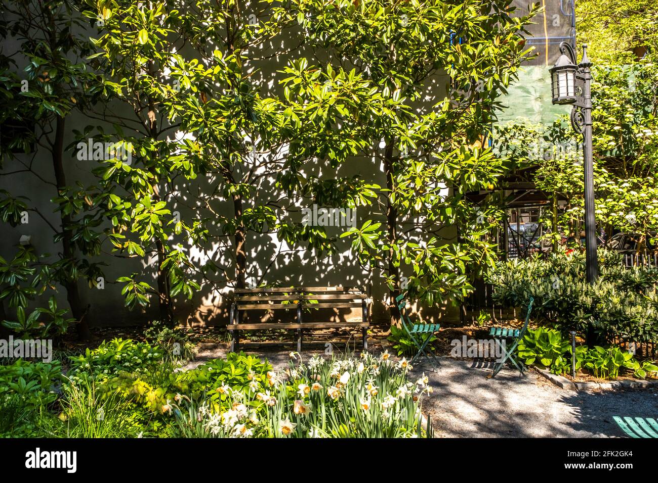 Bench in a park Stock Photo - Alamy