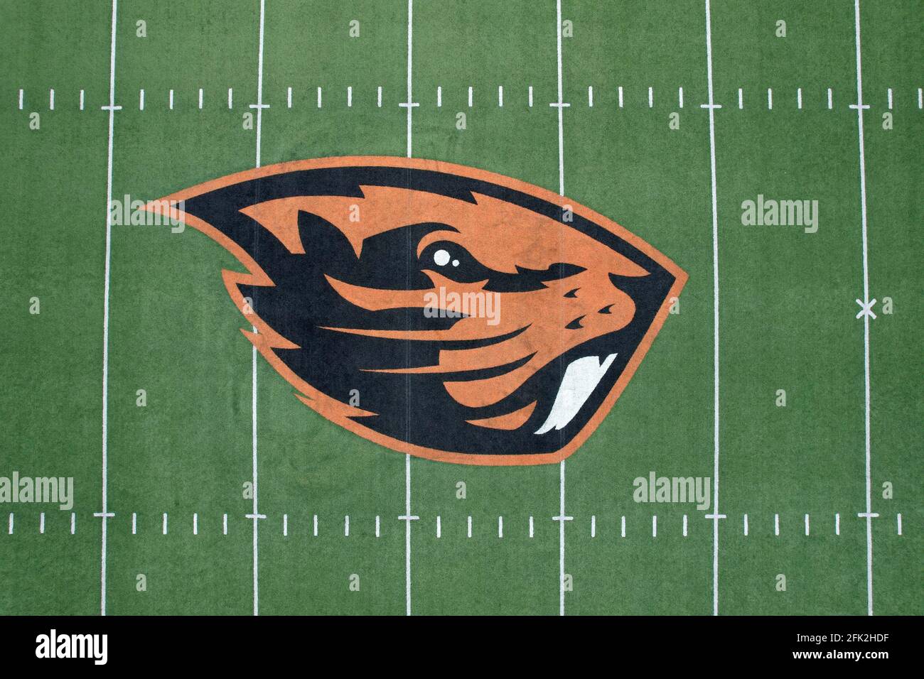 An aerial view of the Oregon State Beavers and Pac-12 Conference logos ...