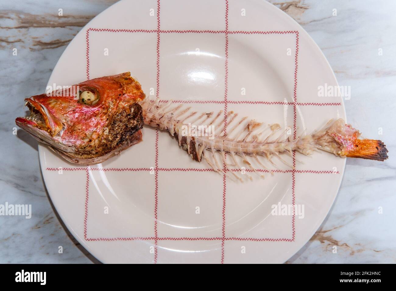Red snapper fish spine bone with head after finishing dinner Stock ...