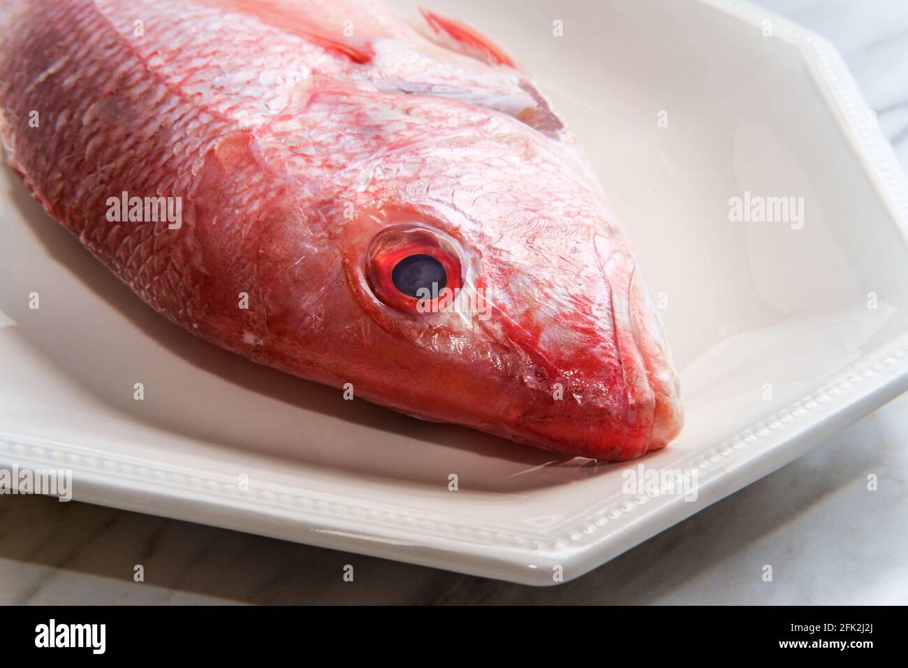 Fresh whole head-on raw unseasoned red snapper ready to be prepaired ...