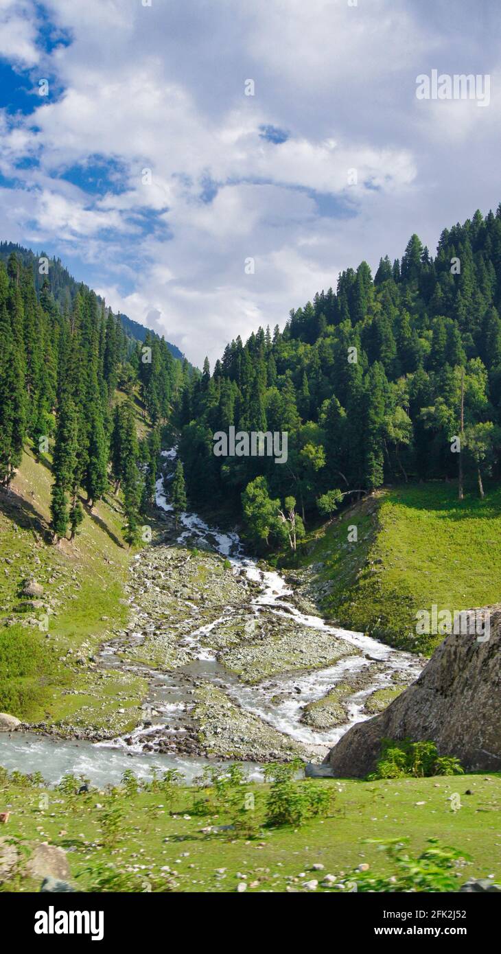 Beautiful view of a narrow river flowing between two hills with thick ...