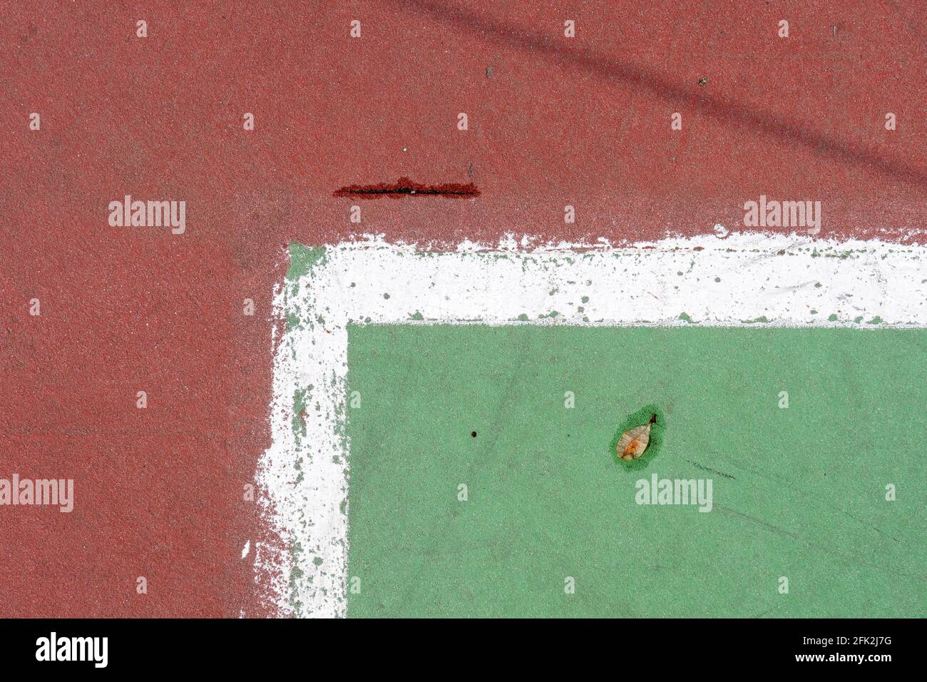 basketball court corner with white shoe Stock Photo - Alamy