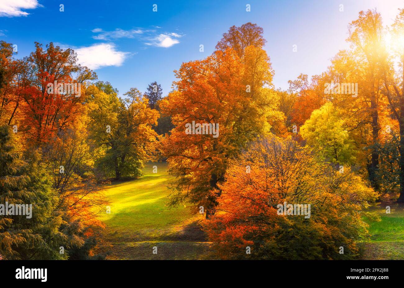 Golden autumn scene in a park, with falling leaves, the sun shining ...