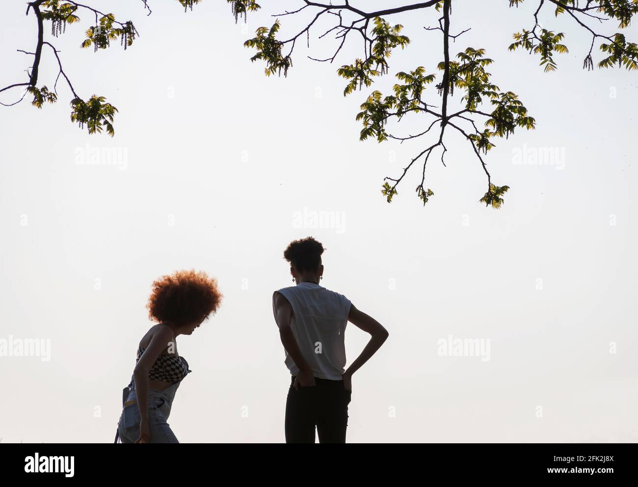 Two friends relaxing Stock Photo - Alamy