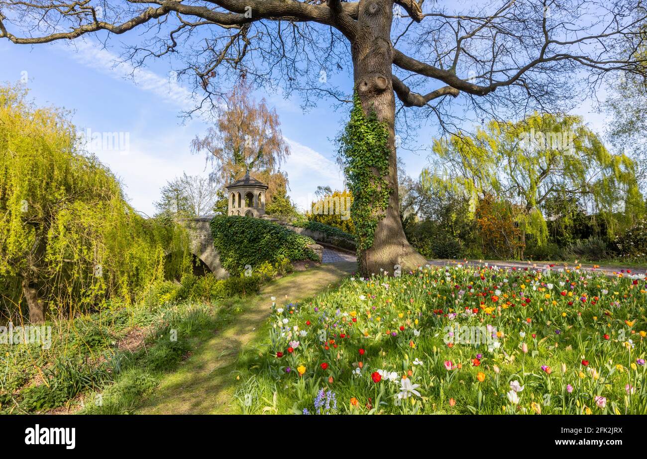 Bridge, folly and multi-coloured tulips in flower at the spring Tulip ...