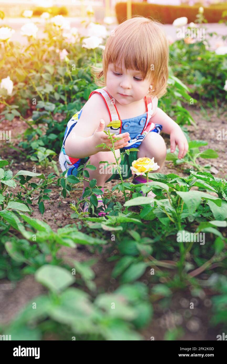 Cute little girl playing in sunny spring park. Toddler kid outdoor ...