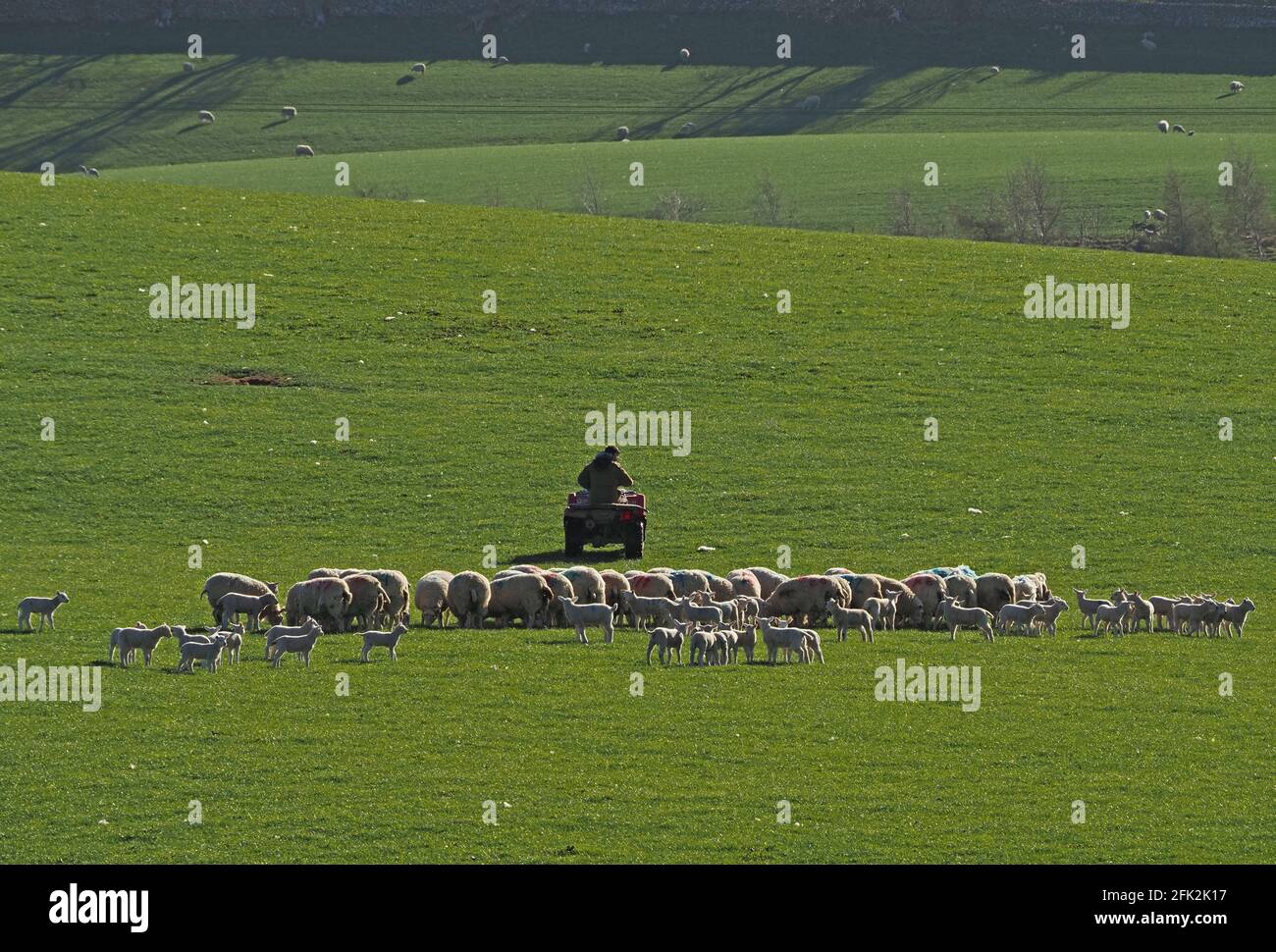 Quad bike in air hi-res stock photography and images - Alamy