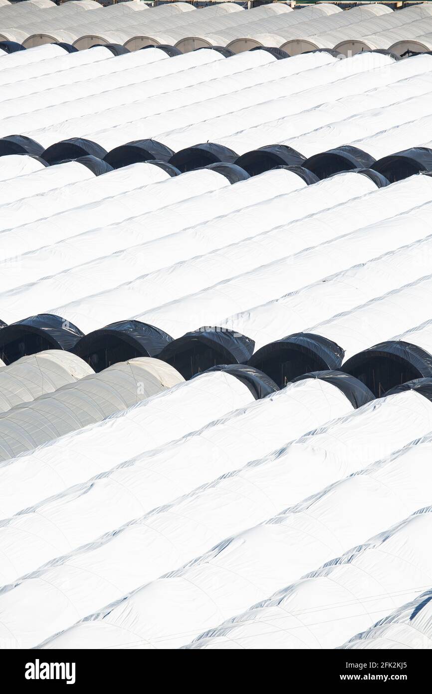 Hoop house hi-res stock photography and images - Alamy