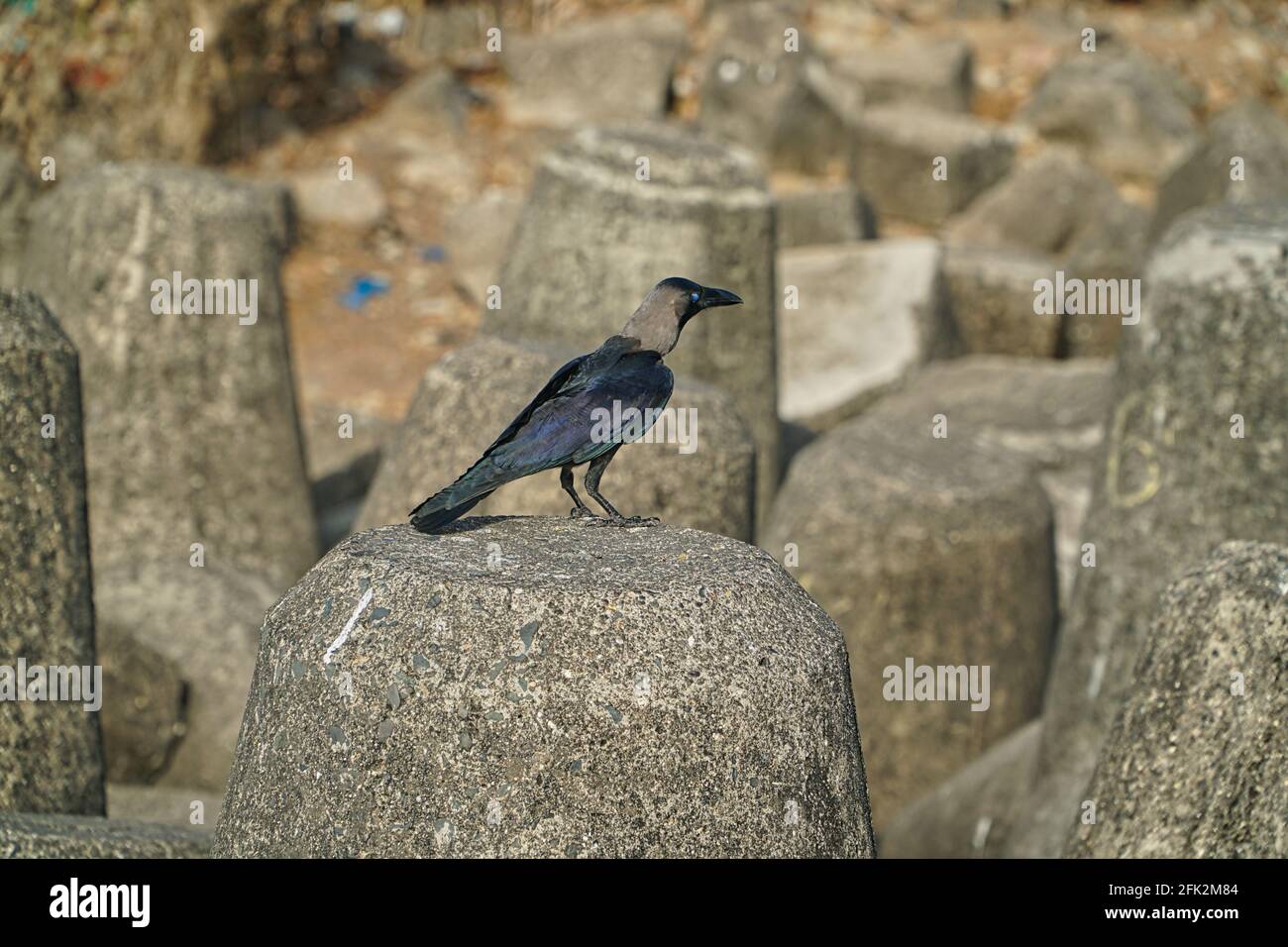 Odd structure hi-res stock photography and images - Alamy