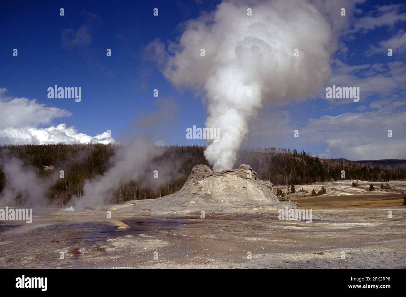 Yellowstone National Park. U.S.A 5/1995. Yellowstone National Park is ...