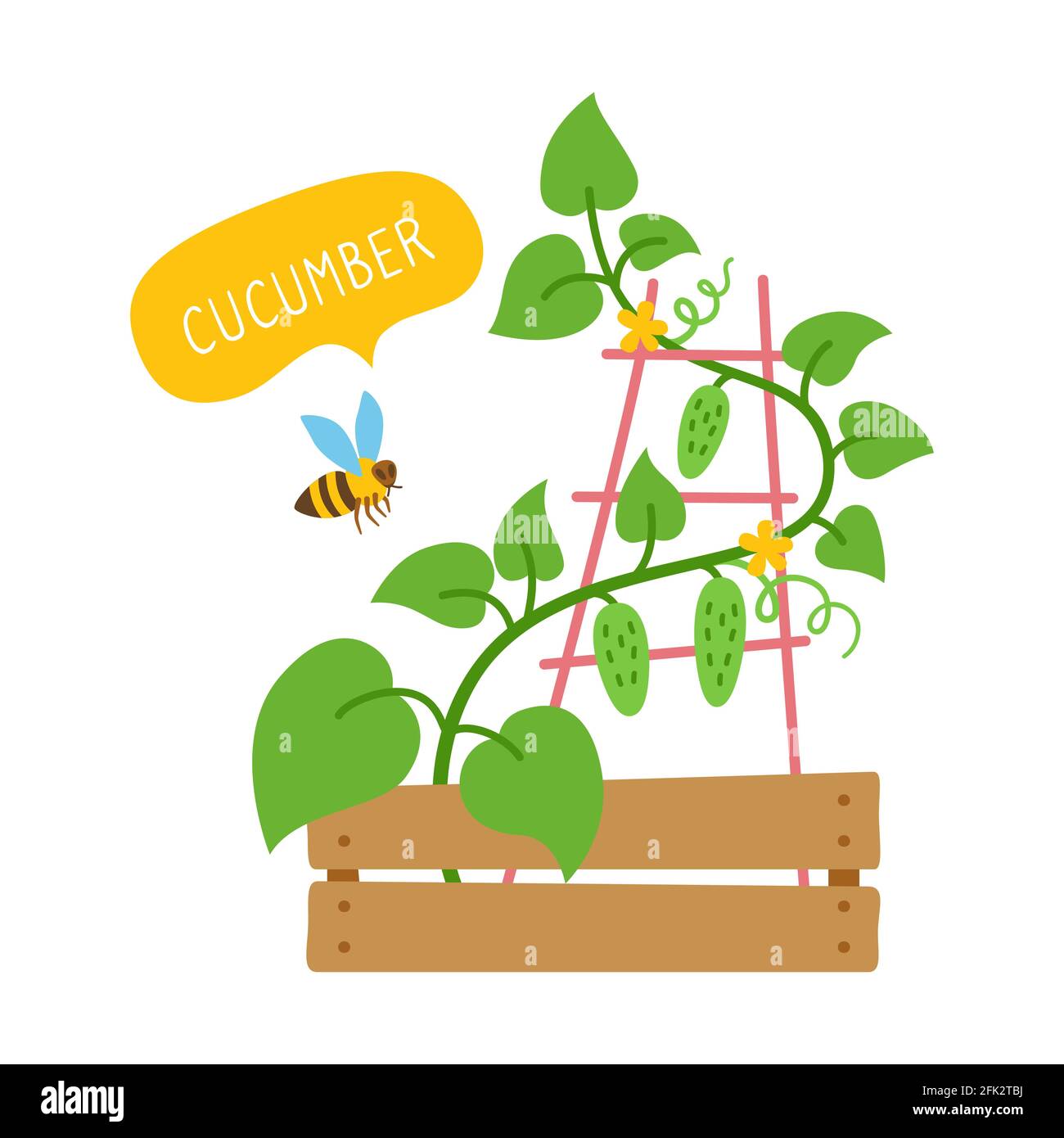 Cartoon Vegetable Planters