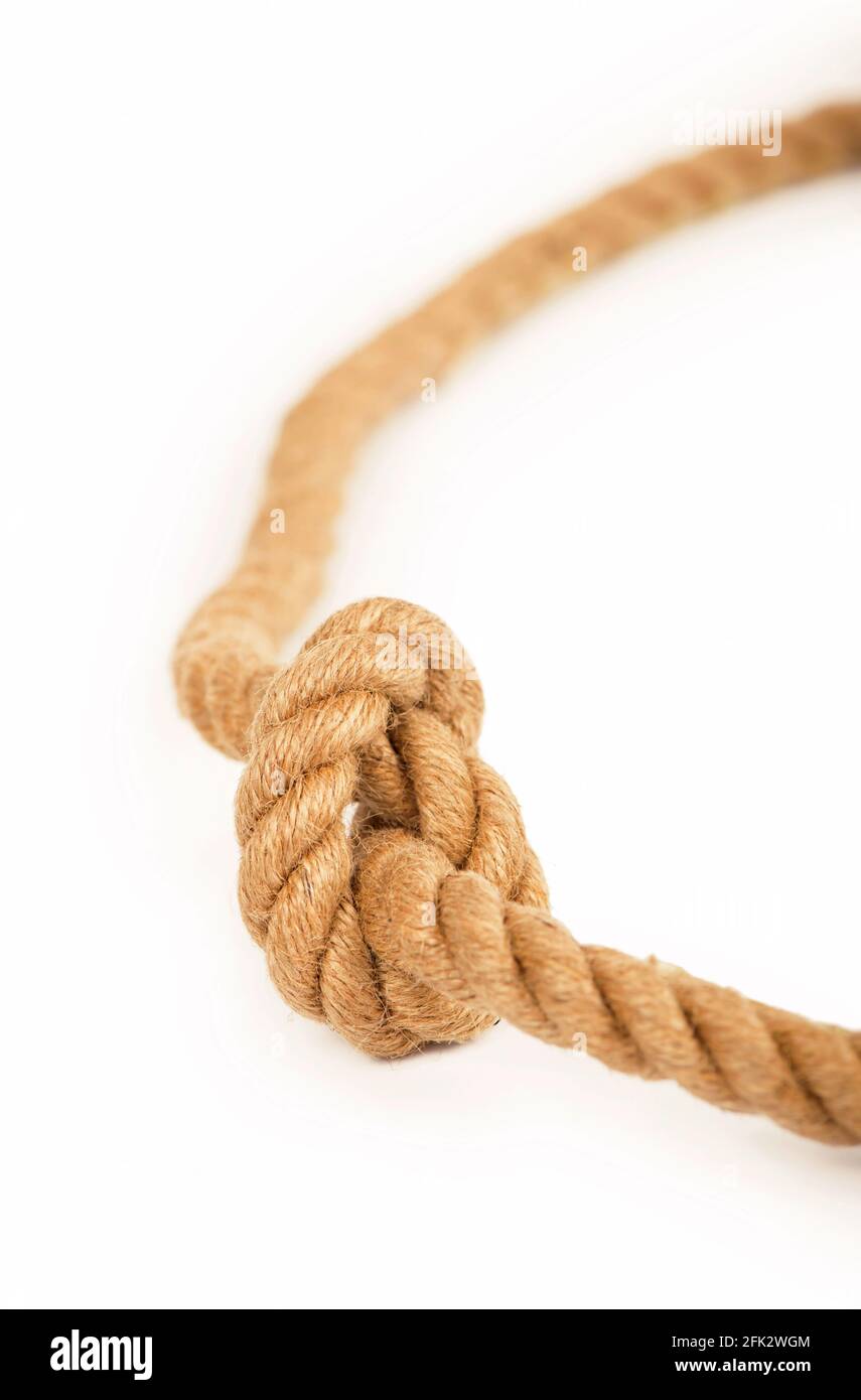 Figure Eight Bend isolated on white background Stock Photo - Alamy