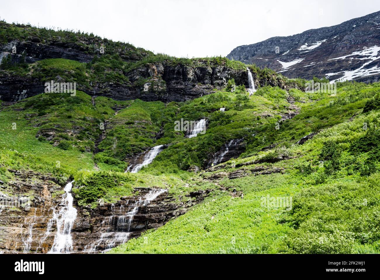 Weeping wall waterfall along Going-to-the-sun road in Glacier National ...