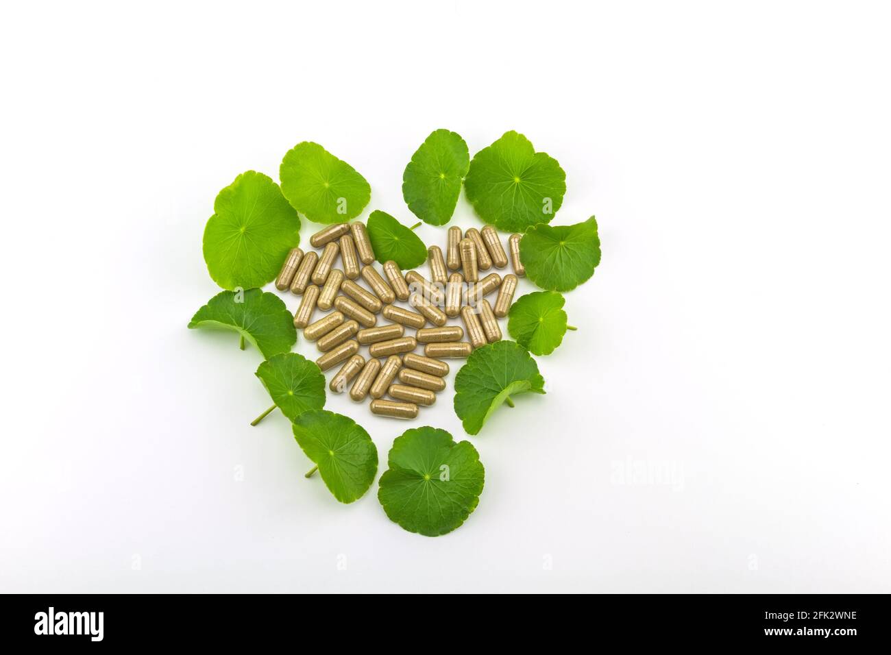 Heart shape of green Asiatic Pennywort (Centella asiatica , Hydrocotyle ...