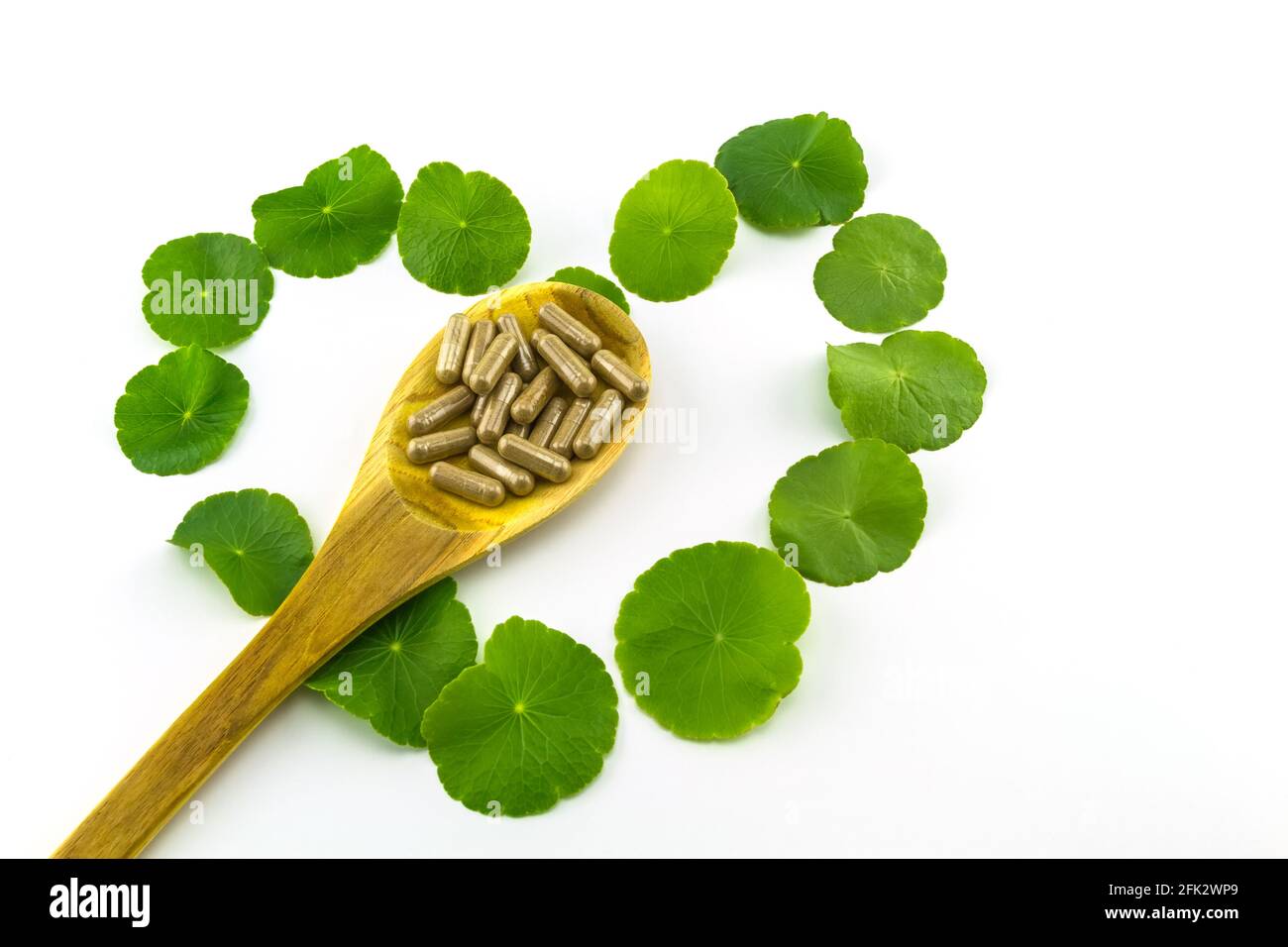 Hydrocotyle umbellata hi-res stock photography and images - Alamy