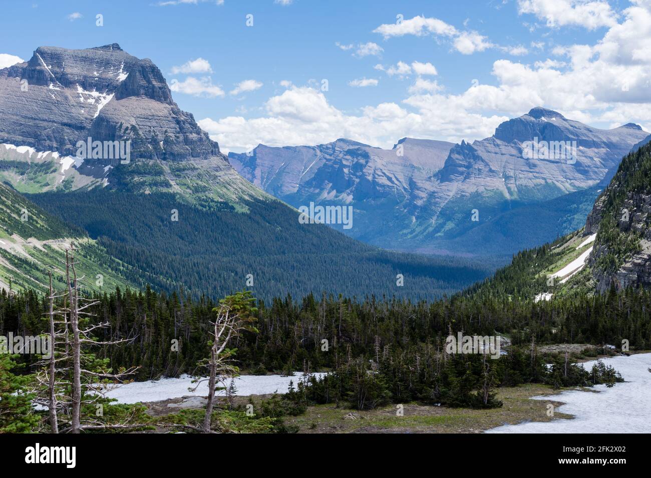 Alpine scenery at Logan pass in Glacier National Park, USA Stock Photo ...
