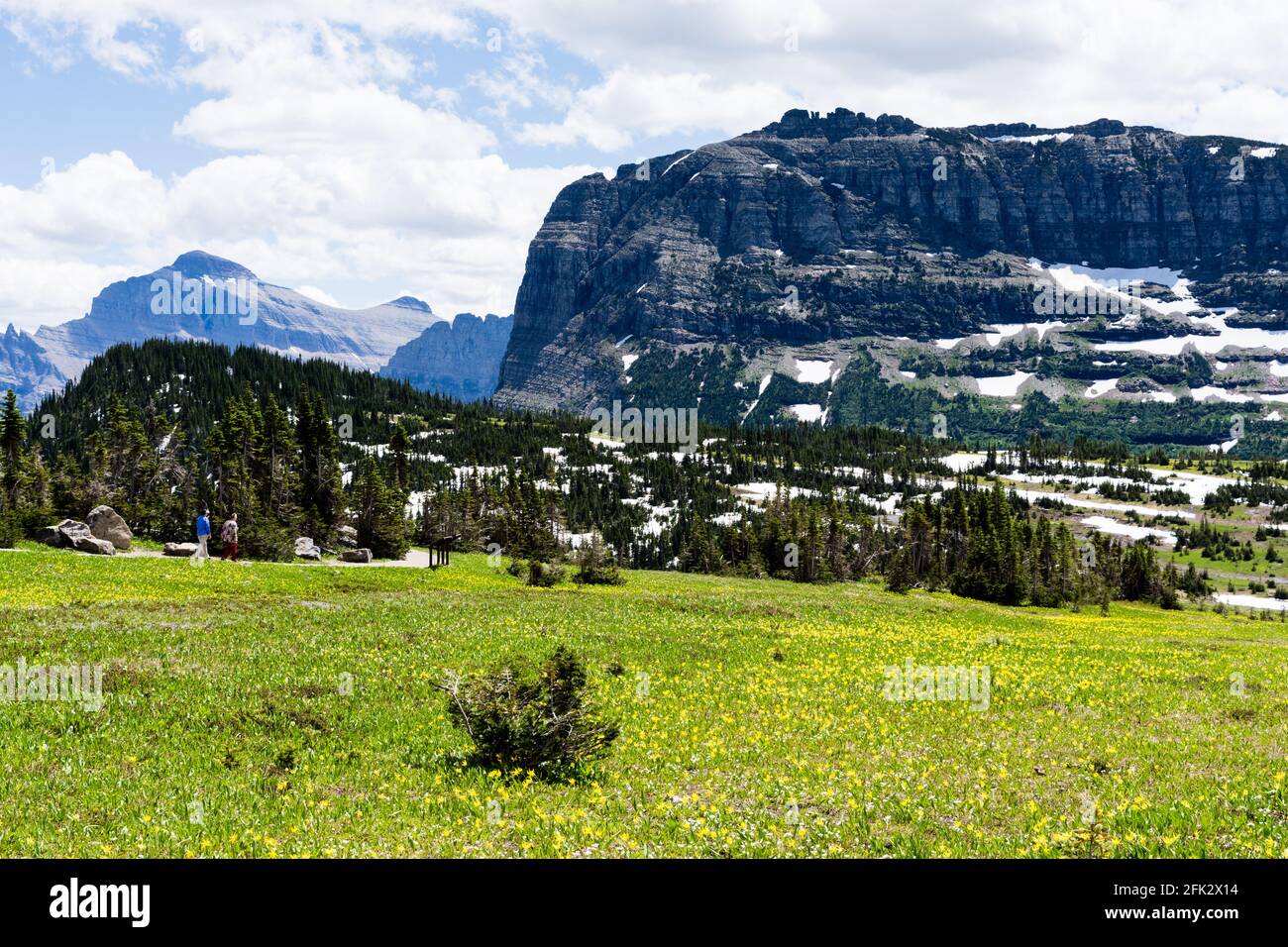 Alpine scenery at Logan pass in Glacier National Park, USA Stock Photo ...
