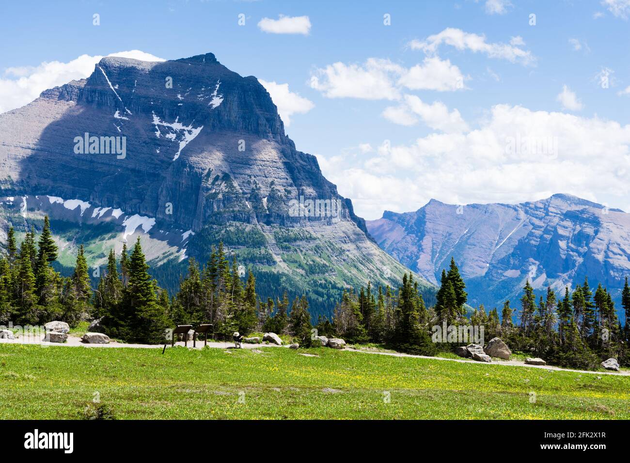 Alpine scenery at Logan pass in Glacier National Park, USA Stock Photo ...