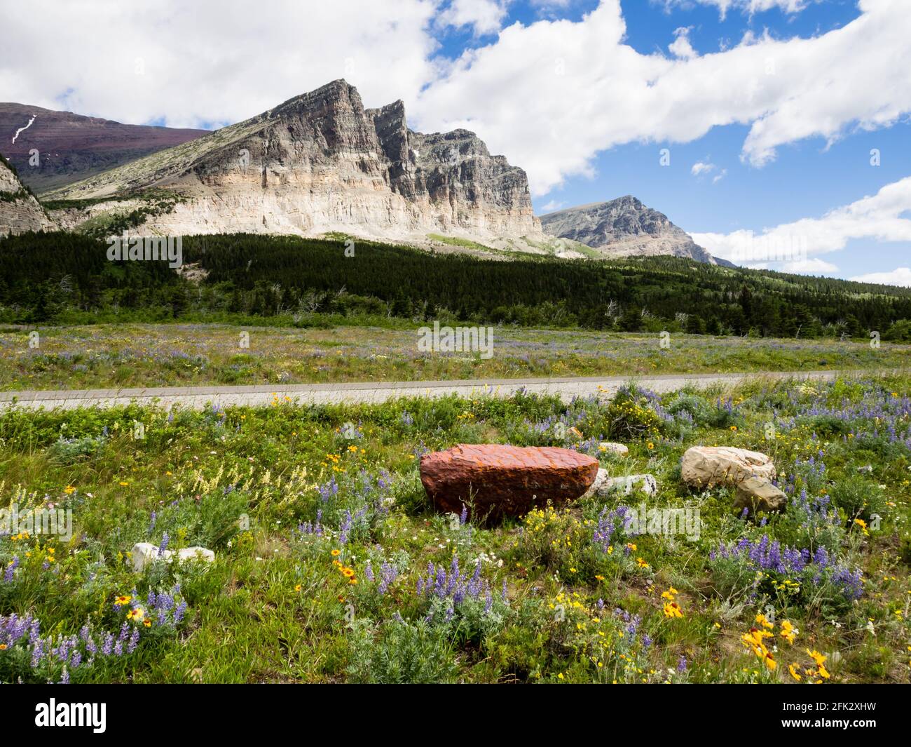 Many wildflowers in valley hi-res stock photography and images - Alamy