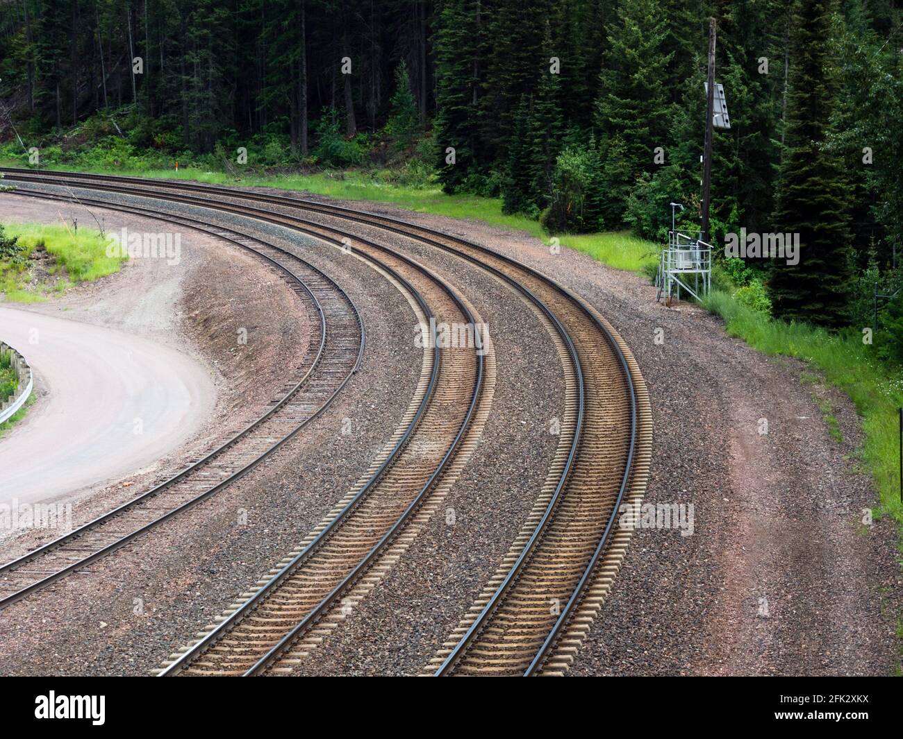 Railroad tracks in the forest Stock Photo - Alamy
