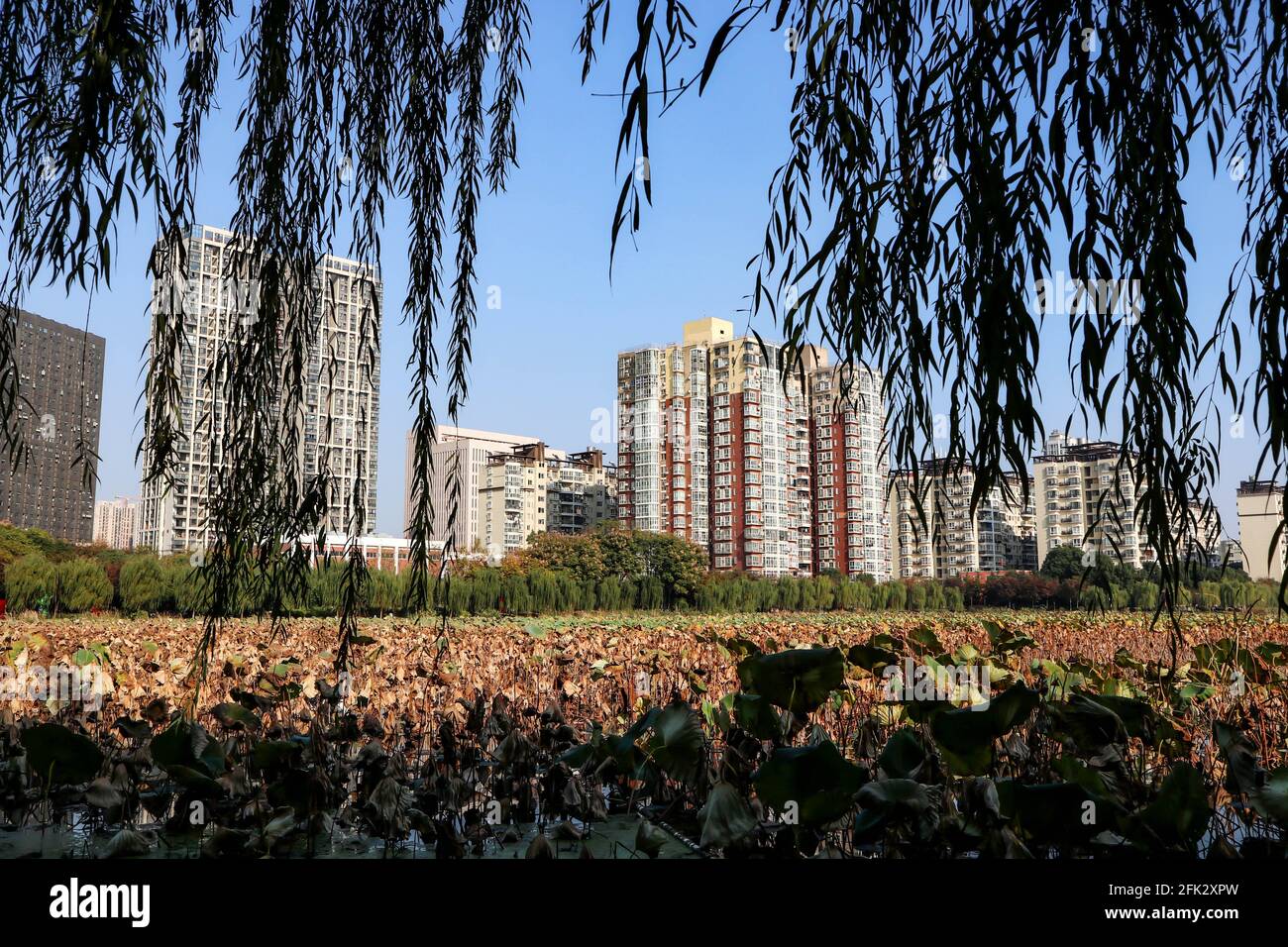 These modern buildings are apartments and offices for the Chinese ...